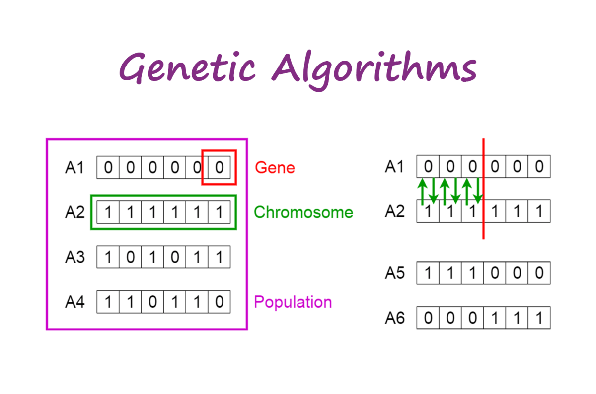 Introduction to Genetic Algorithms | Vijini Mallawaarachchi