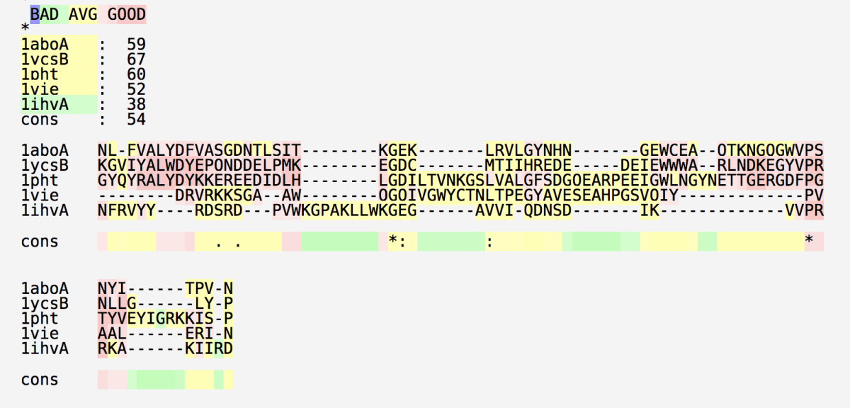 Multiple Sequence Alignment using Clustal Omega and T-Coffee | Vijini ...